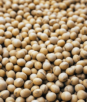 Andes Trade Group – Delivering high-quality products from South America ...